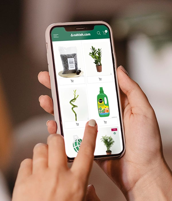 How To Shop Plants Online – Nabteh.com