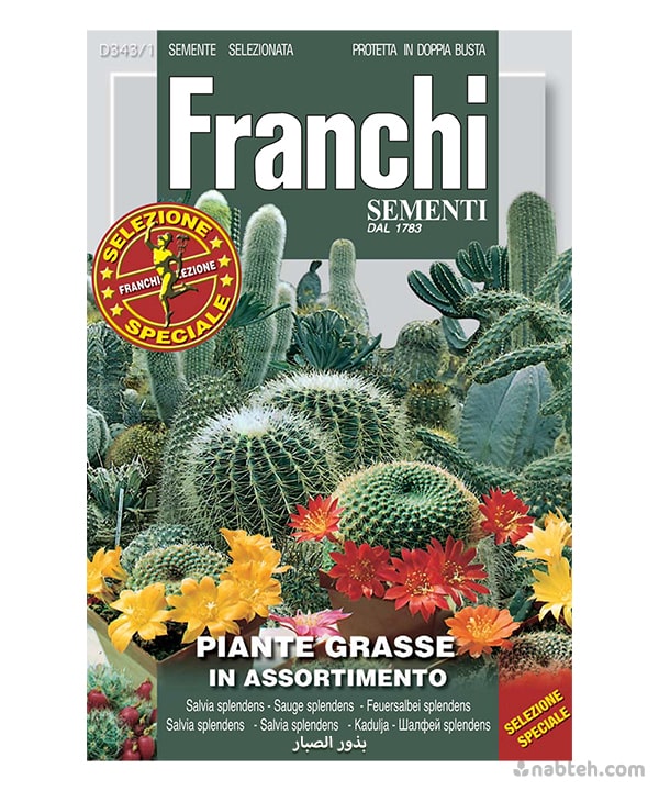 Franchi Mixed Cactus Plants Seeds – Nabteh.com