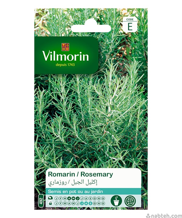 Rosemary Seeds – Nabteh.com